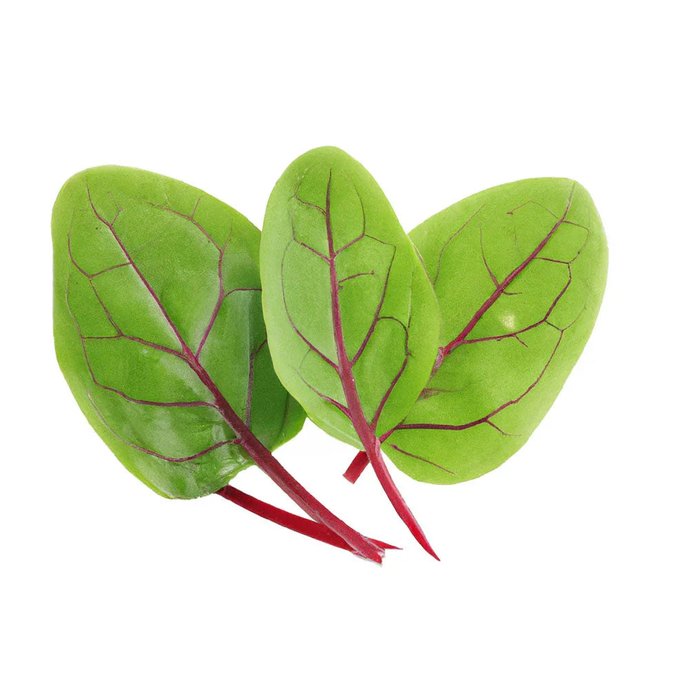 Micro Red Vein Sorrel (30g) – North East Pet Shop