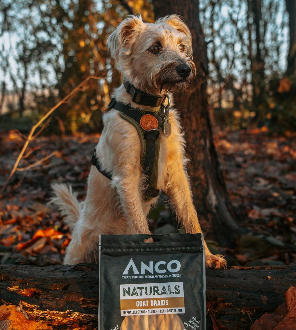 Anco Naturals Goat Braids 100g – North East Pets