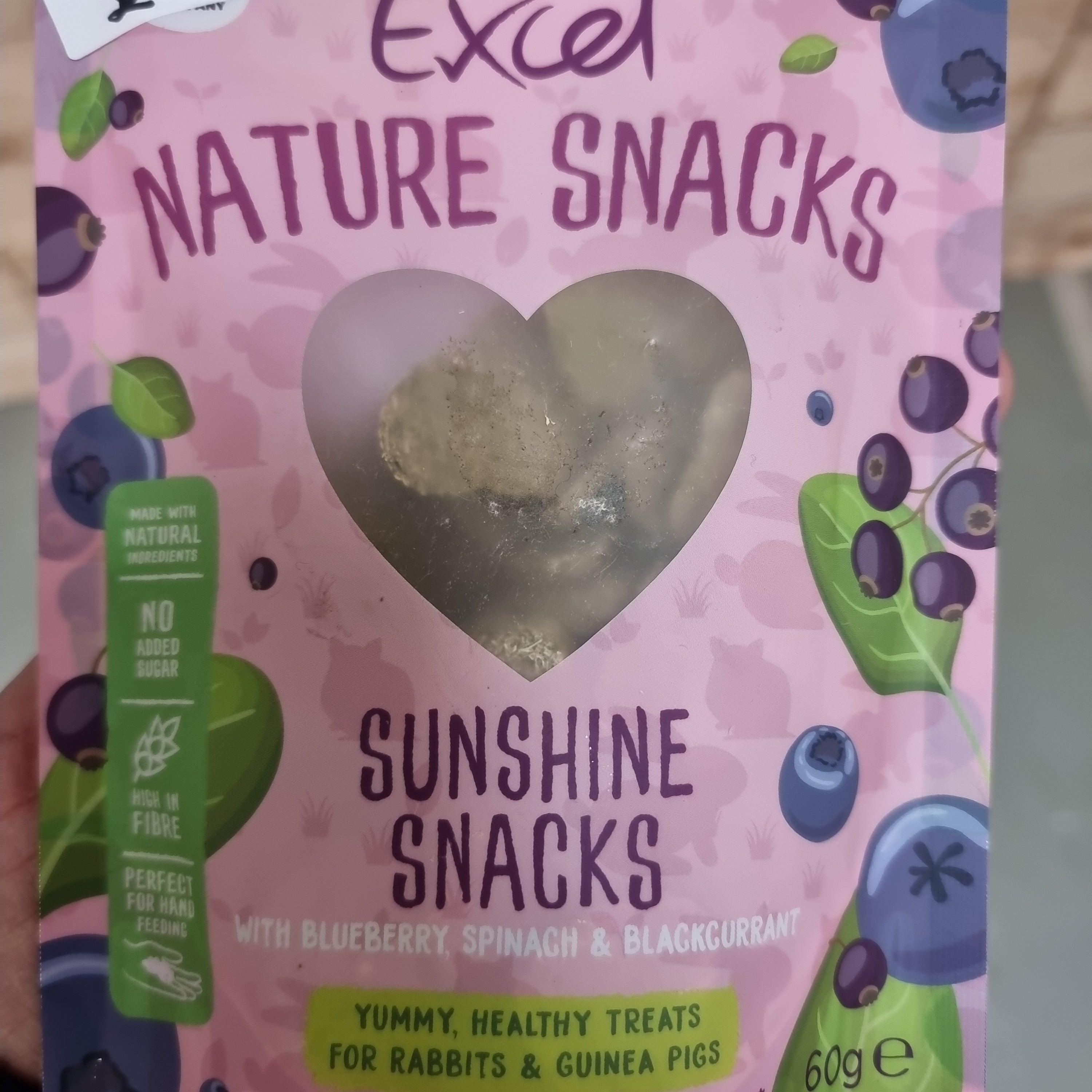 Burgess Excel Sunshine Snacks LIMITED EDITION – North East Pets
